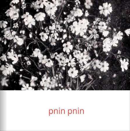 Zeven fotoboekjes van Pnin Pnin – uitgeverij van groningen